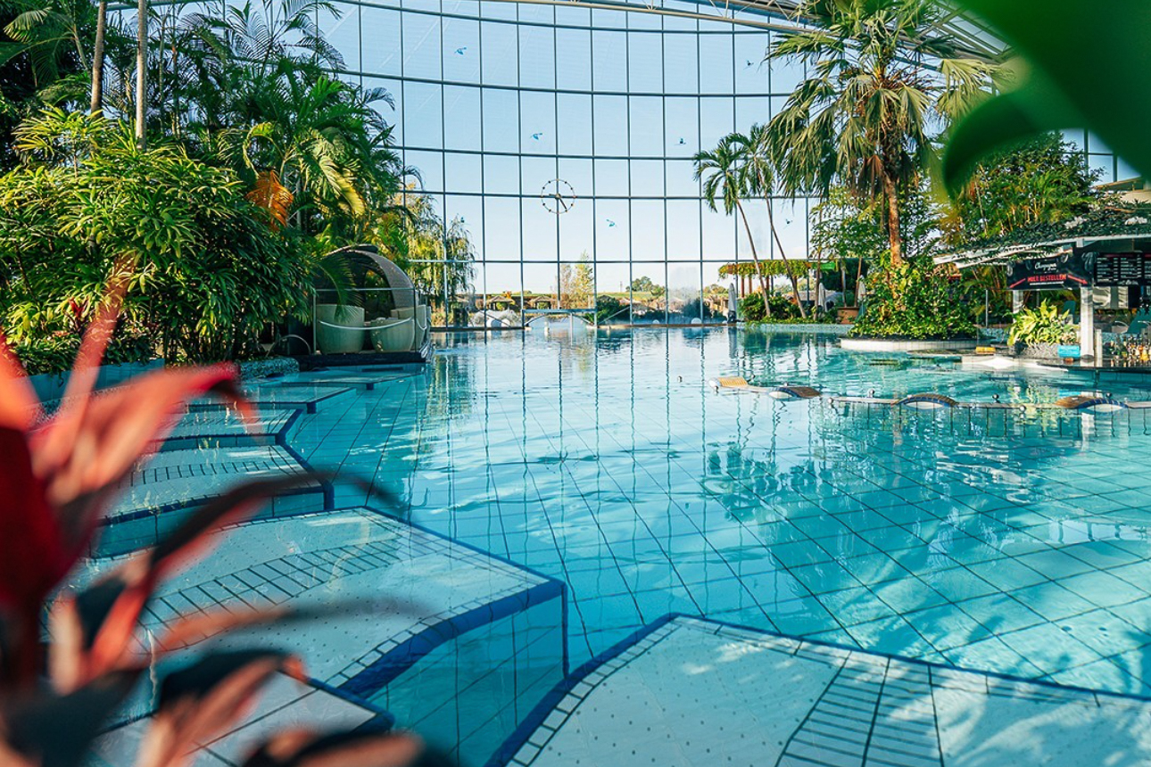 Schwimmen und saunieren unter Palmen in der Therme Erding | Mit Vergnügen München