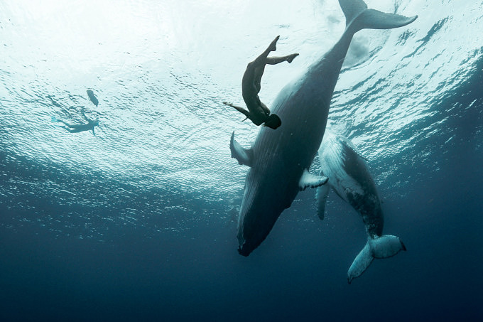 Abenteuer, Action, Ozean: Die International Ocean Film Tour in München ...